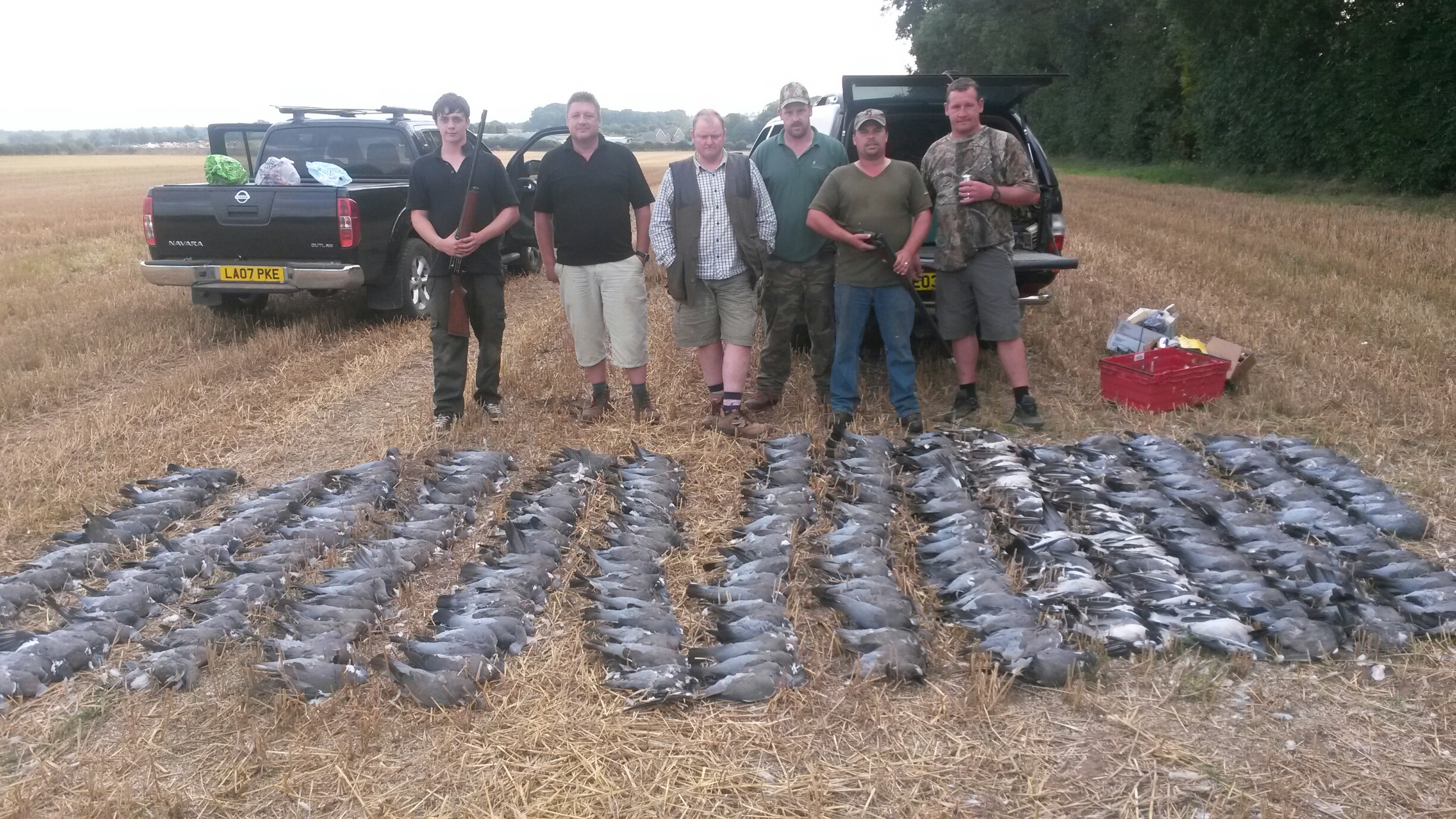 Wood Pigeon Hunting | Pigeon Shooting